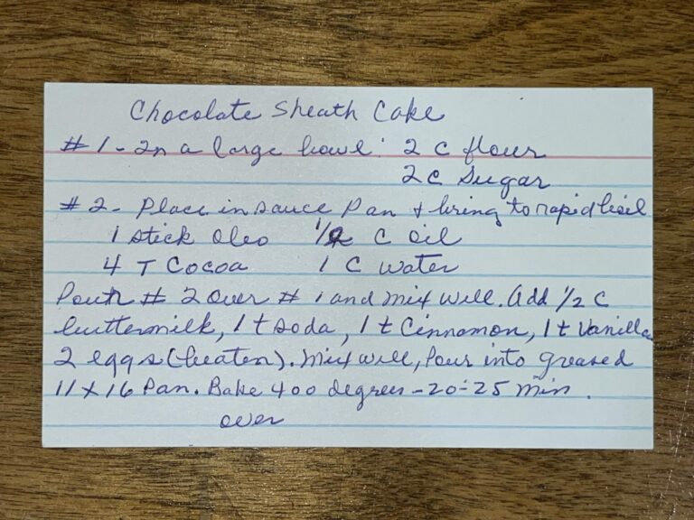 Chocolate Sheath Cake - R Farm Cooks